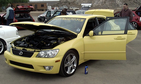 Senseless Behavior 1